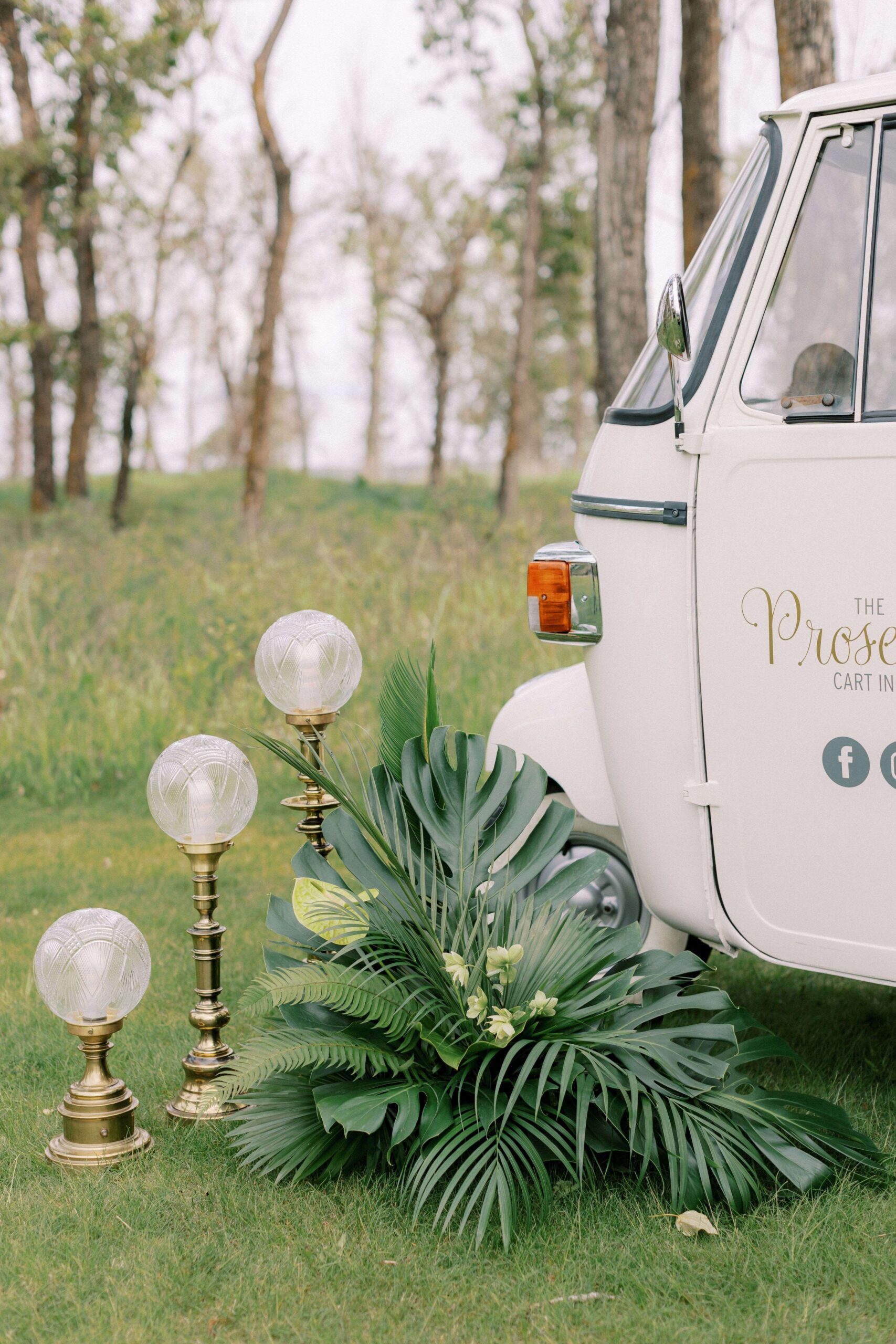 Bold Love Photo Shoot with Sugar Pine Island - Mandala Floral